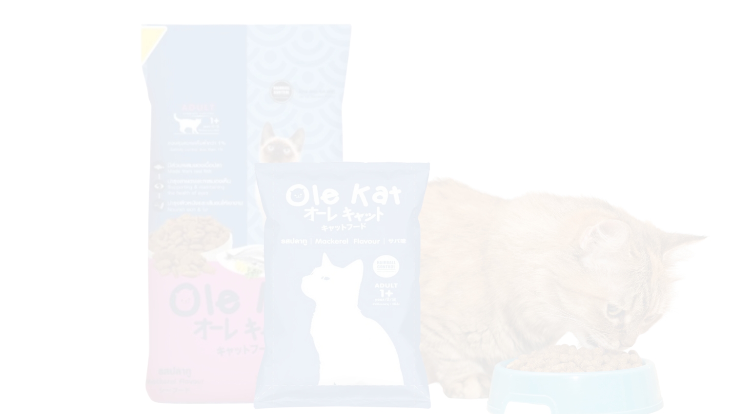 Pet & Co – Leading Pet Food Supplier in Sri Lanka